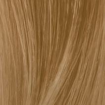 Descubre Más | L'Oréal Partner Shop